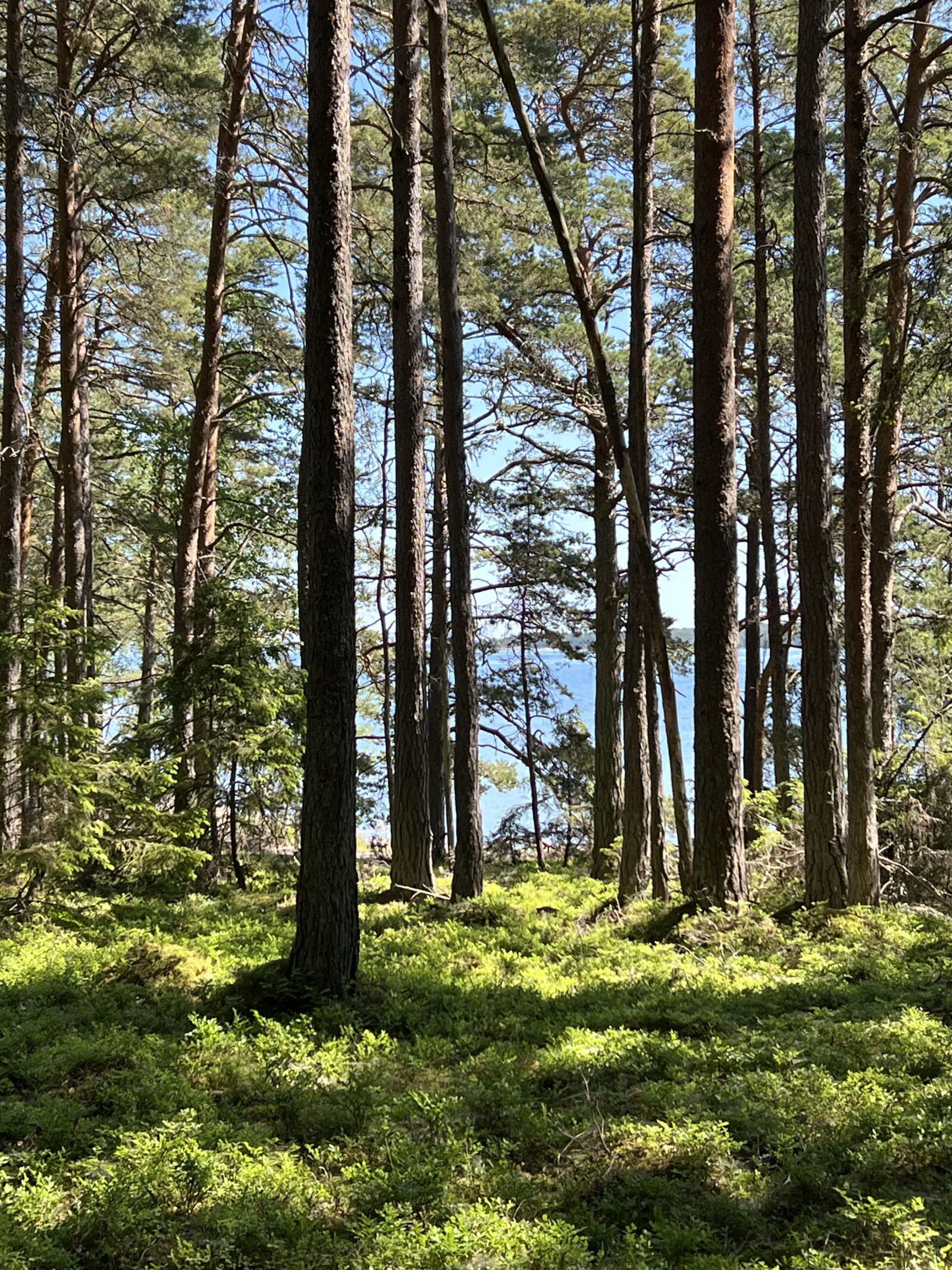 Stockholm Archipelago Trail - Stockholm Archipelago Trail