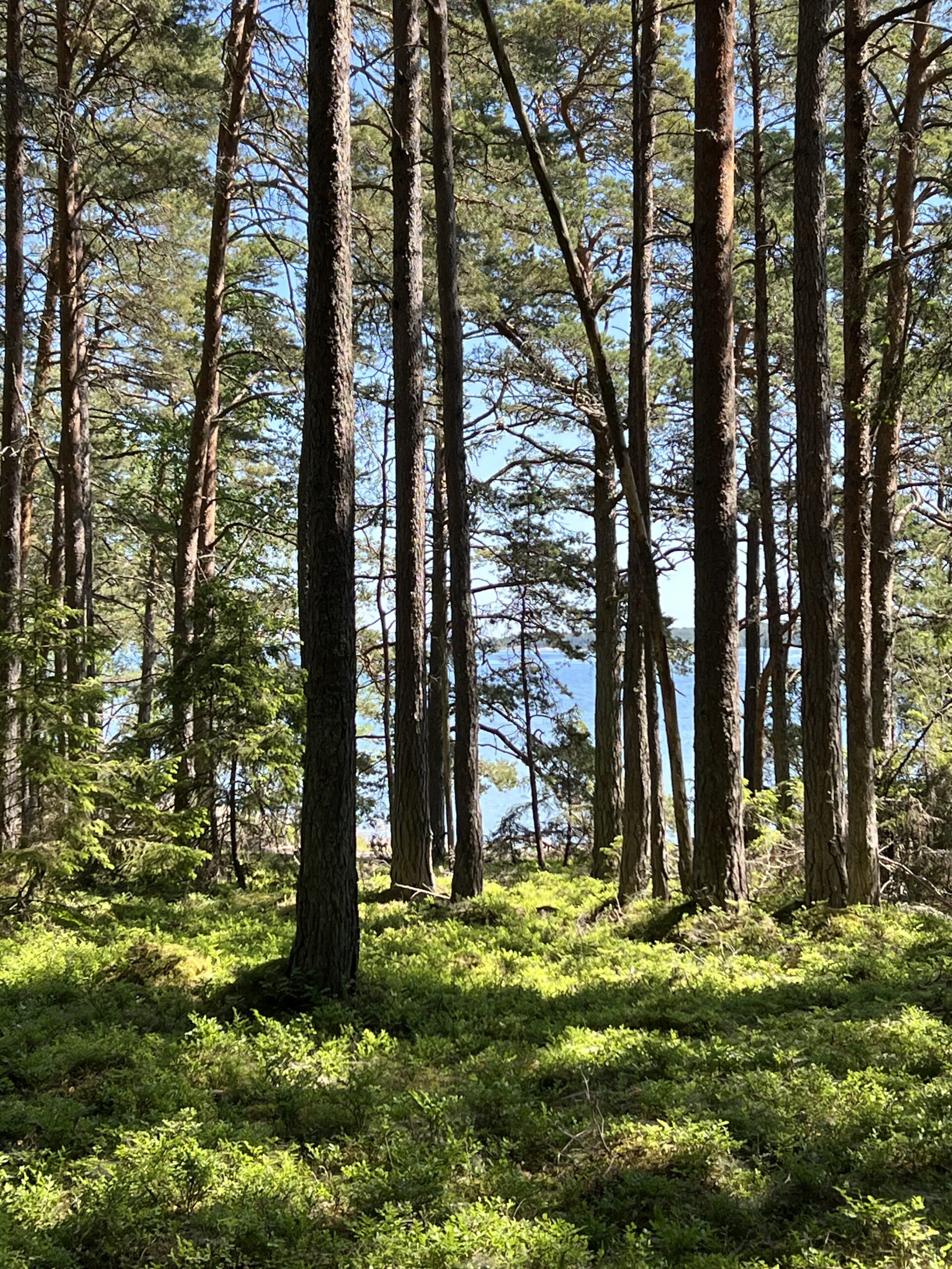 Stockholm Archipelago Trail - Stockholm Archipelago Trail