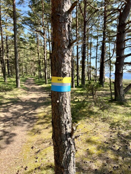 News – Stockholm Archipelago Trail Updates and Hiking Tips
