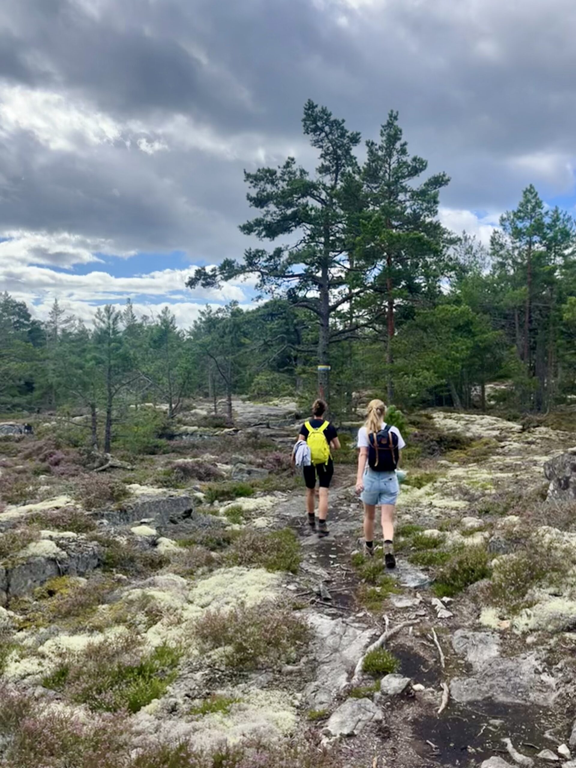 Explore Hiking Sections of the Stockholm Archipelago Trail